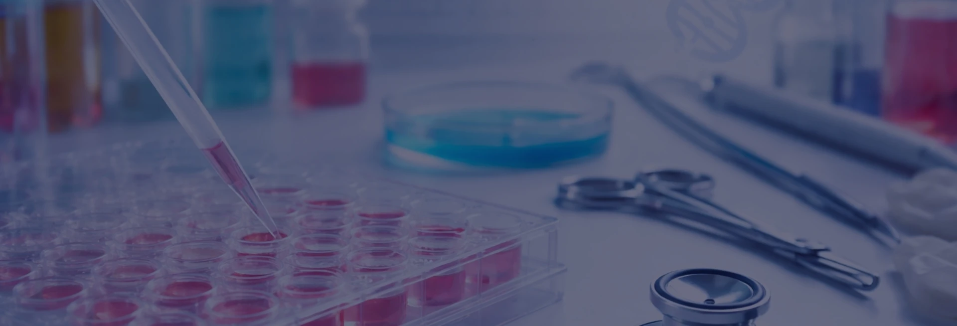 Cytotoxicity Testing for Medical Devices | ISO 10993 Guide